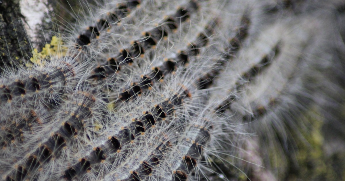 Lady paya only fans found the place, rapped, and as soon as